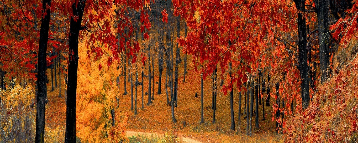Patterson Road Church of Christ – Grand Junction, Colorado » Fall Women ...
